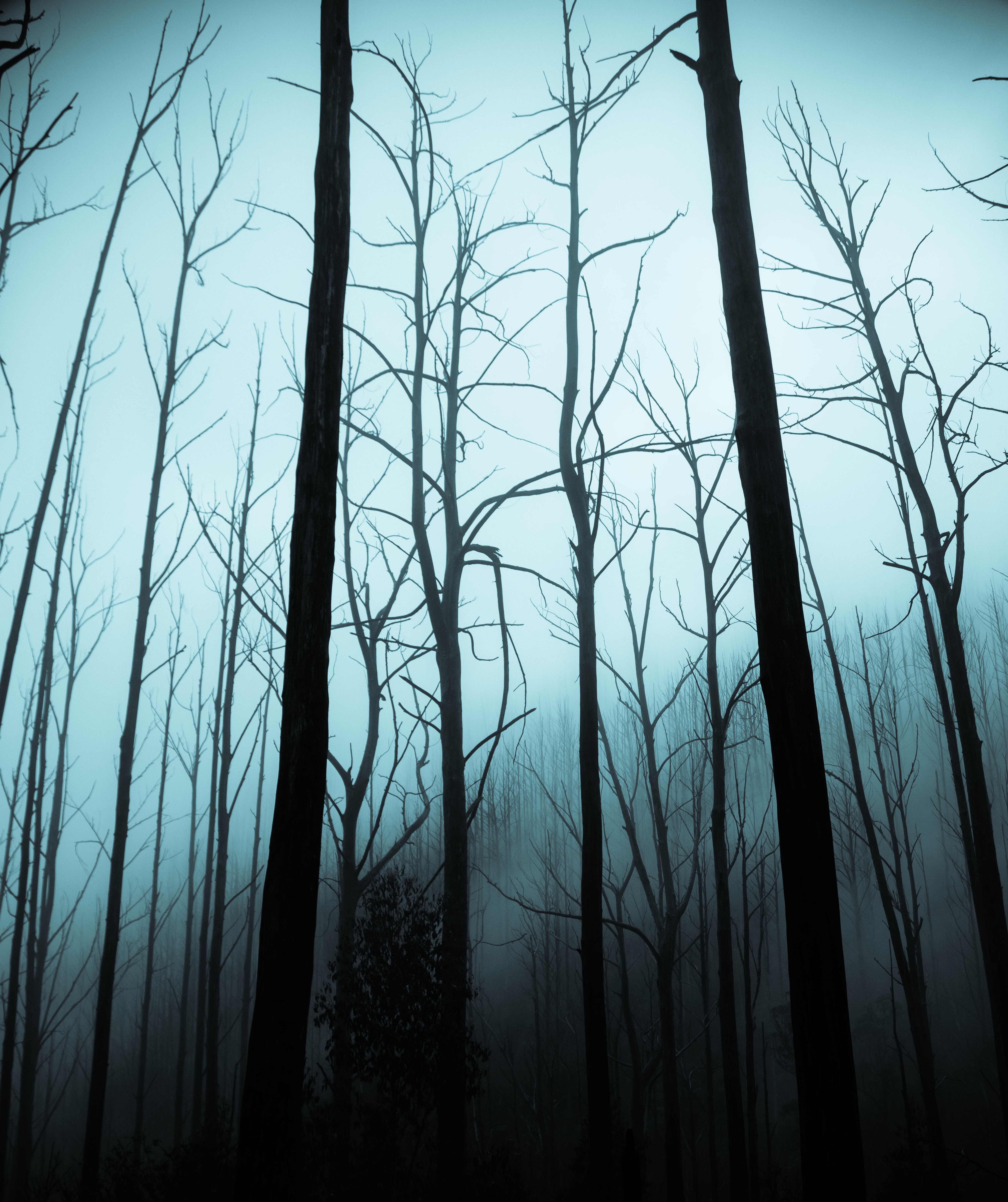 How To Avoid Confusion With Git Branches Codecarrot Blogs